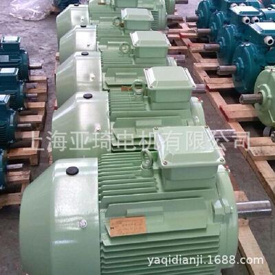 YX3-200L2-6 22kw IP55 F级 380V/50HZ三相异步电动机