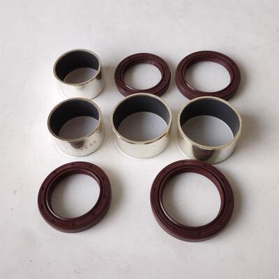 真空泵自润轴承套油封GardnerDenver里其乐VC50751202303维修配件