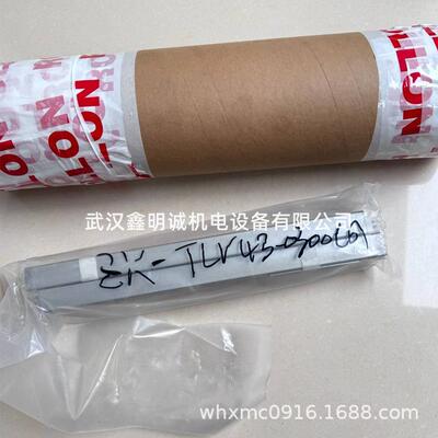 意大利ROLLON 滚轮滑轨滑块直线导轨DSS43-1490