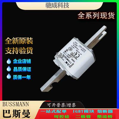 巴斯曼170M3921 170M3922 170M3923 厂家供货销售 快熔保险丝