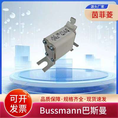 熔断器170M2667 170M2668 170M2669 170M2670 170M2671 170M2691