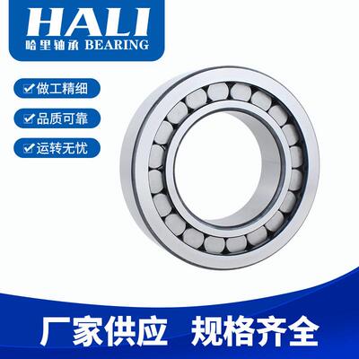 现货供应SL185040A轴承 双列满装圆柱滚子轴承 哈里轴承