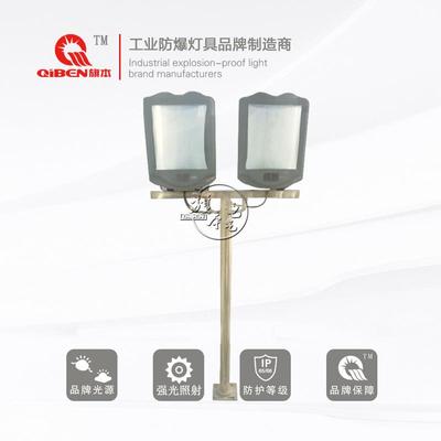NSC9700 GT302户外投光灯具220V1*400W 2*250W单杆单灯1.2米不锈