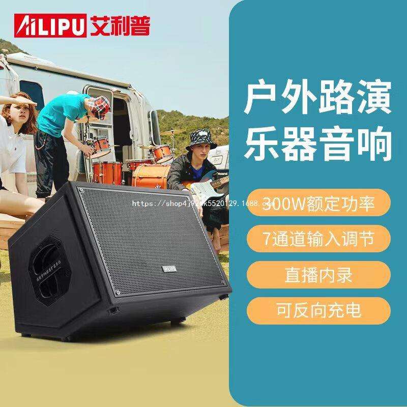 艾利普AILIPU  T10PLUS户外乐器音响街头演出音箱【经销价咨询】