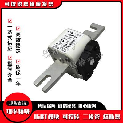 170M4208 170M4209 170M4210 170M4211 170M4212熔断器170M4213