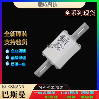 巴斯曼170M3688 170M3689 170M3690 销售供应零售 快速保险丝