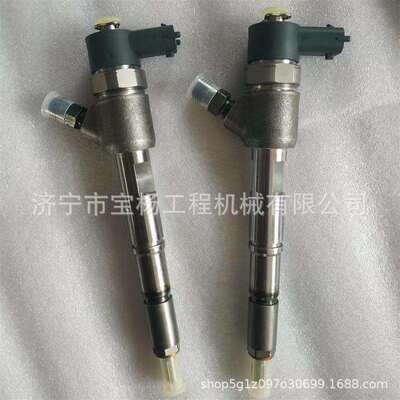 0445110690共轨喷油器0433172487 0445110293喷油嘴总成