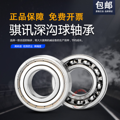 轴承6315 6316 6317 6318 6319 6320 6321 6322 2RZ 2RS ZZ 2Z NR