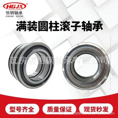 满装圆柱滚子轴承SL185010 SL185011 SL185012 SL185013 SL185014