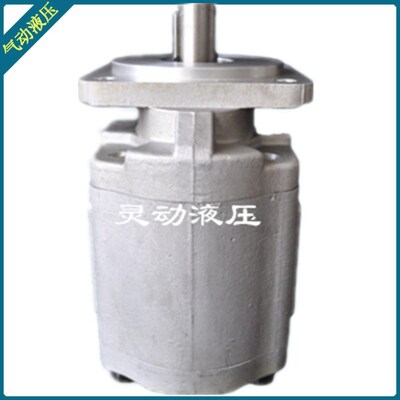 高压力高转速 CBGz2 齿轮油泵系列 CBG2/2 液压泵抗震高品质
