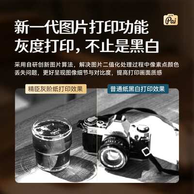 6BVQB21Pro高清版照片打印机300dpi家用小型黑白照片相片爱豆