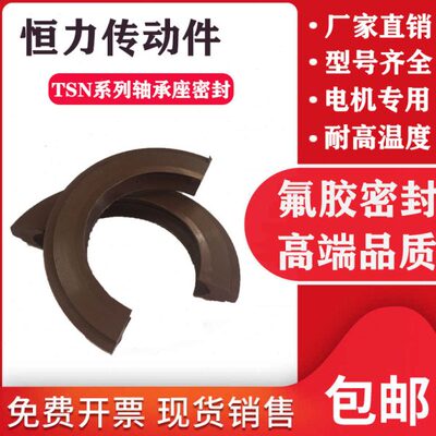 氟胶轴承座密封耐高温 TSN215 216 217 218 219 220 222 224 226G