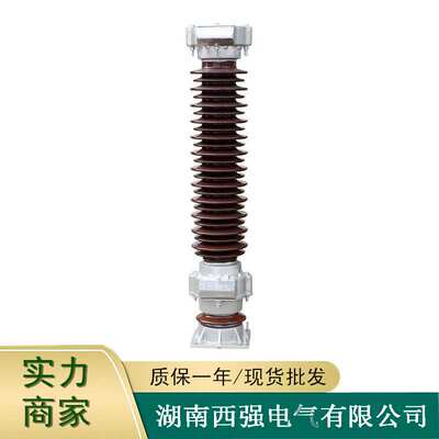 湖南西强110KV陶瓷氧化锌避雷器Y10WZ-108/281户外Y10W-102/266