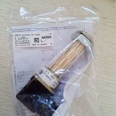 绿添科技供应德国NORIS Group限位开关 10097 RG51