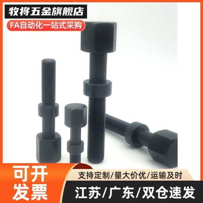 AJST4-10/15/20/25/30/35/40/45/50/55/60调整螺栓六角型