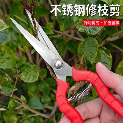 Agricultural scissors for pruning branches, trimming plants,