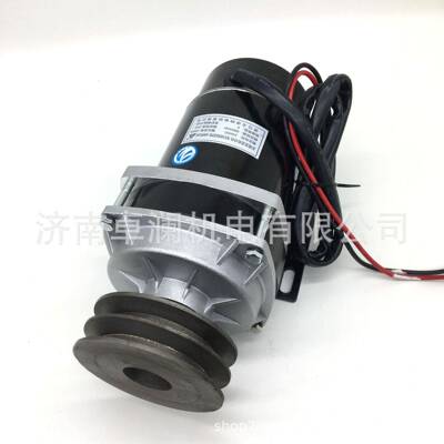 48V36V24V450W有刷直流电机MY1020ZXFH双槽皮带轮传动
