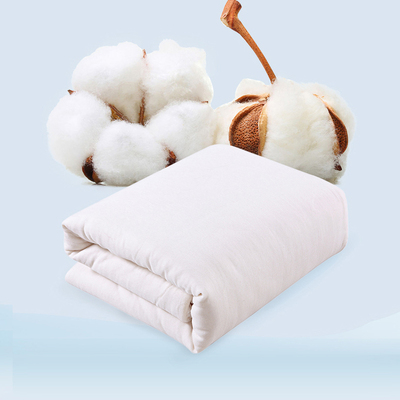 儿童小被子夏被春秋120x150cm花被芯幼儿园棉胎婴儿棉被垫被