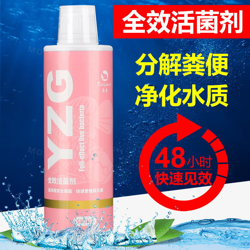 硝化水族鱼缸净水剂硝化活菌净化水质硝化活菌液鱼缸稳定剂