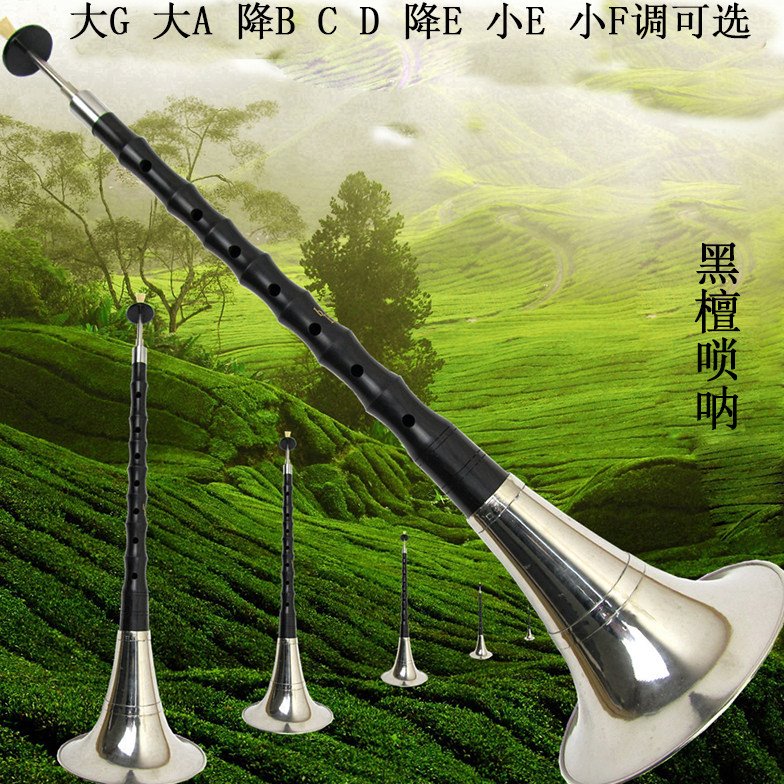 黑檀唢呐乐器全套喇叭大小号演奏初学者音准大GA降BCD小F调赠哨片