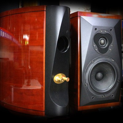 绅士宝9500/66200+威发NE180-08超性价比发烧书架 音箱