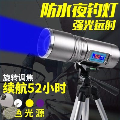 蓝灯钓鱼灯夜钩灯钓鱼用的夜钓灯紫光照漂夜光灯蓝光台钓充电式