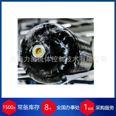 挪威hexagon高压气缸IV型