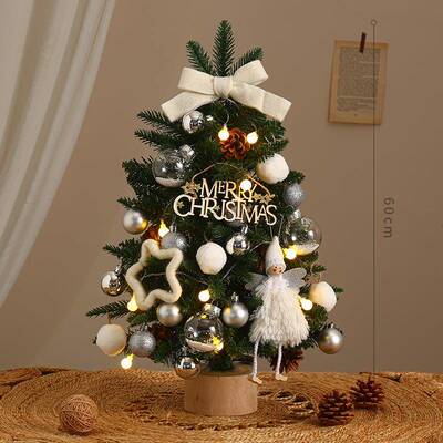 新品现货Christmastree加密带灯圣诞树PE积雪圣诞小树桌面