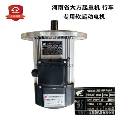 河南大方行车 电磁制定实心转子三相异步电动机YSE802-4D-B 0.8KW