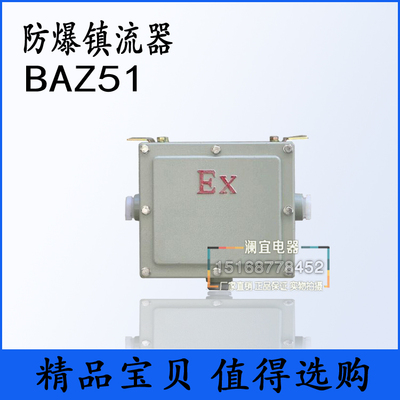 防爆镇流器箱 BAZ51系列 防爆灯具镇流器 防爆镇流器配电箱