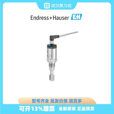 恩德斯豪斯现货FTL31-1102/0  音叉液位开关FTL31-AA4M2AAWBJ