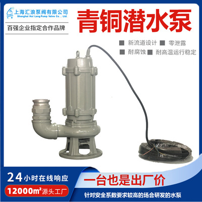 汇浪品牌 青铜潜水泵 船用排污泵大流量高扬程C95800材质耐腐蚀泵
