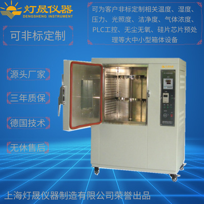 灯晟仪器 换气式老化试验箱 DHO系列产品 支持定制