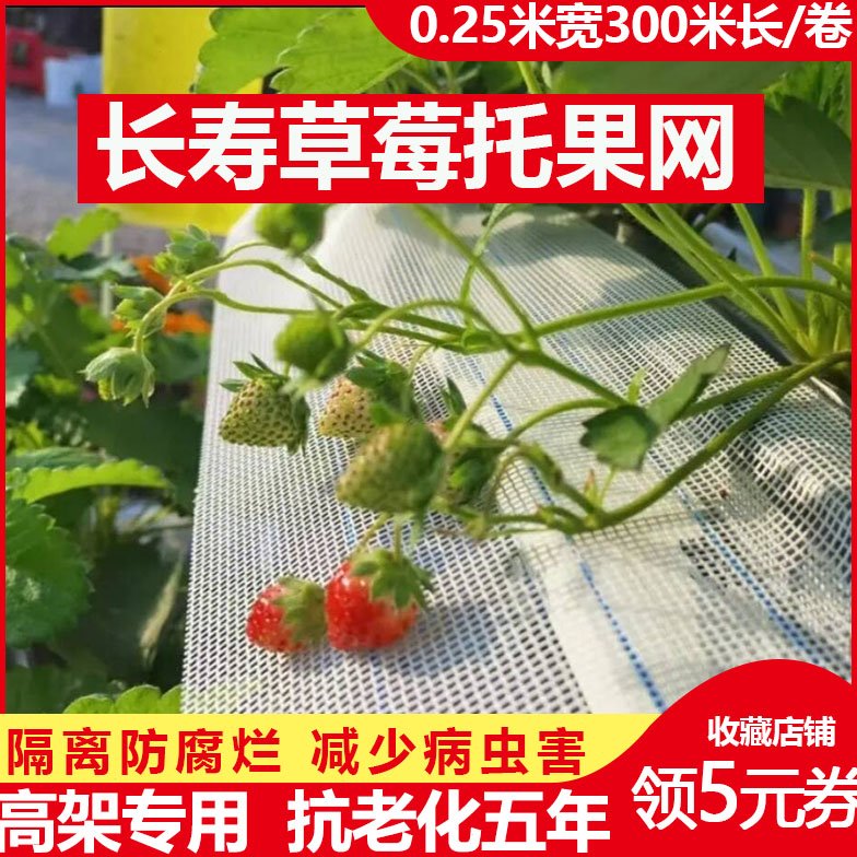 高架草莓托果网草莓隔离网网垫温室大棚防折支架支撑架草莓果托网