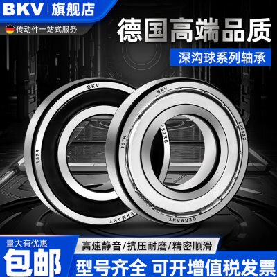 德国BKV轴承6207高温6208进口6209电机6210 6211 6212 6213RS2ZR