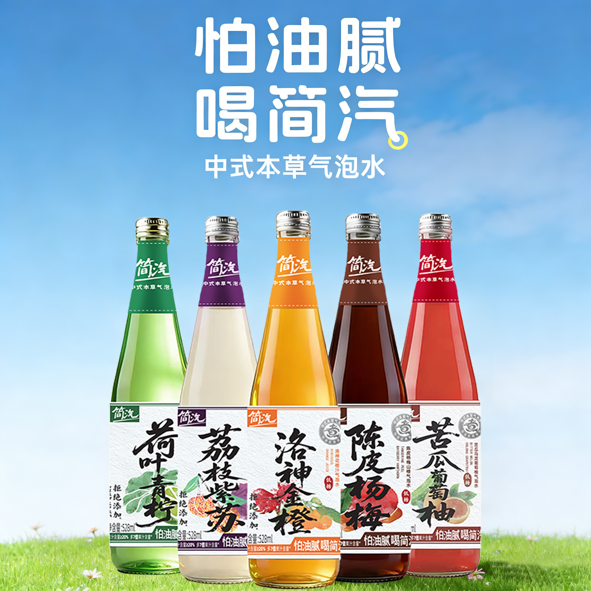 水茫茫简汽中式本草气泡水528ml真果汁添加果汁汽水饮料解腻饮品