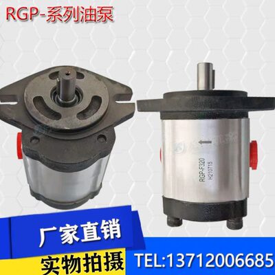 RGP-F304RN-K4 F306RN F310RN F314RN F316RN F320RN-K4 齿轮油泵