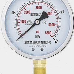 YTN-100耐震压力表 抗震表 YN100-40MPA 5800PSi