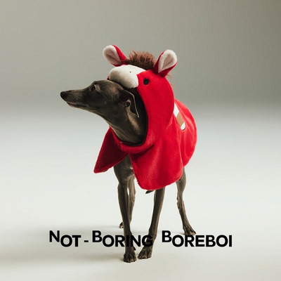 NB B丨小马连帽披风狗宠物马年限定衣服斗篷可调节中小型腊肠比熊