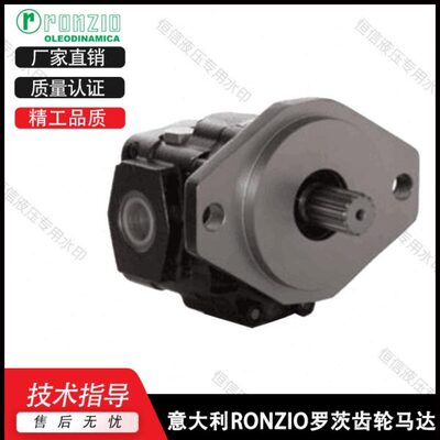 RONZIO罗茨齿轮泵02W/02WMG04/06/08/11/15/20/25/40 液压马达
