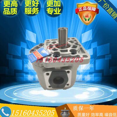 HCHC合肥长源齿轮油泵 CB-E20 25 32 40 50 63 CB-E550 CB-E563