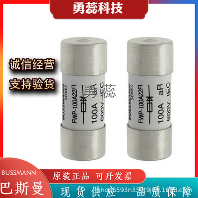 快速熔断器FWP-100A22FIFWH-.500A6FFWH-001A6F