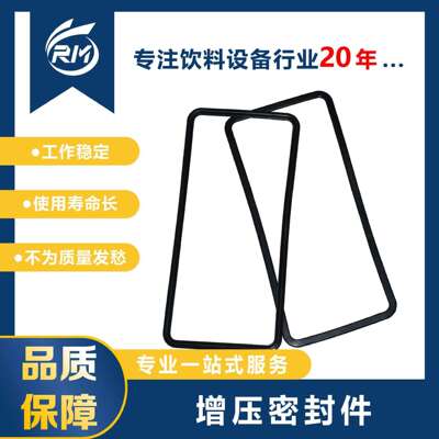 增压密封件 / MJDA.06.00-04
