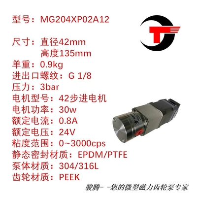 MG204XP02A12微型磁力泵齿轮灌装机齿轮泵计量泵耐酸碱不锈钢精准