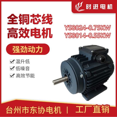 时进电机YS8014  0.55KW负压风机专用电机马达台州东协电机厂