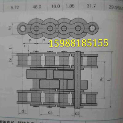 非标倍速链条带特殊滚轮输送链条东华自强12BS3F1 24BF28 24BSF2