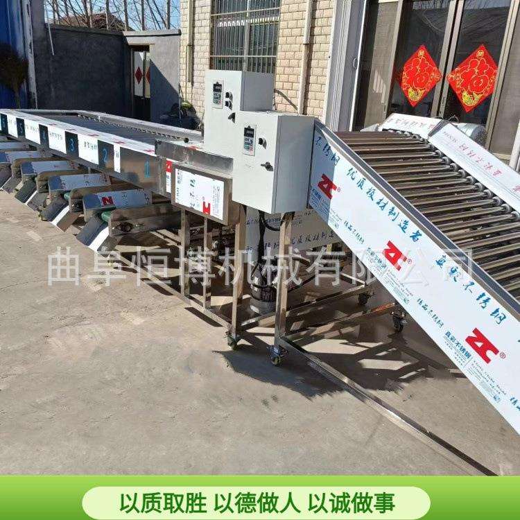 大型萝卜红薯滚杠式分选机 圣女果大小直径选果机 土豆滚杠分选机