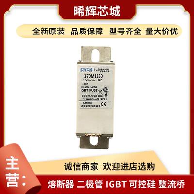 170M1850 170M3191 电子元器件 库存充足 巴斯曼直流快速熔断器