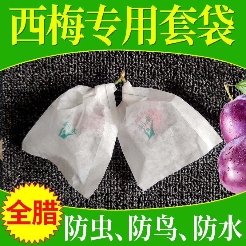 西梅套袋专用袋欧洲李西洋李套袋纸袋果树包果袋水果袋子防鸟防虫