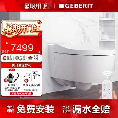 吉博力spina滨娜智能一体壁挂式